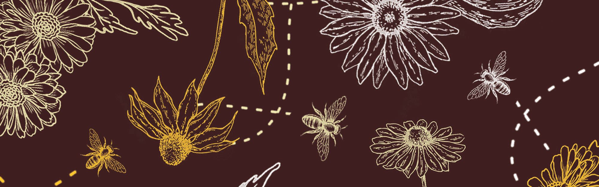 Graphic Design | Show LTU CoAD 2023